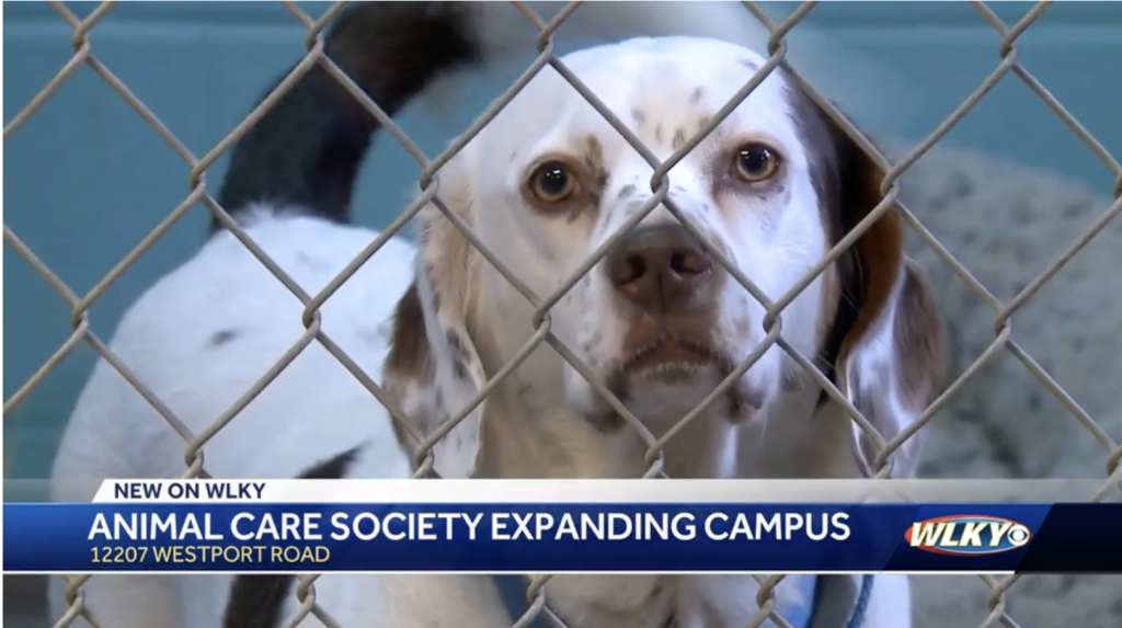 Animal Care Society in Louisville, KY Expanding No Kill Shelter ...